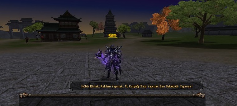 ANIMATED CHAT TOP INFO SYSTEM | C++ / C# / Python | Metin2Hub | Metin2 ...